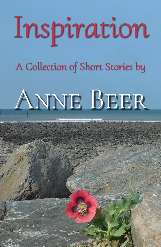 Anne Beer – Author – Blue Poppy Publishing – book publisher in North Devon
