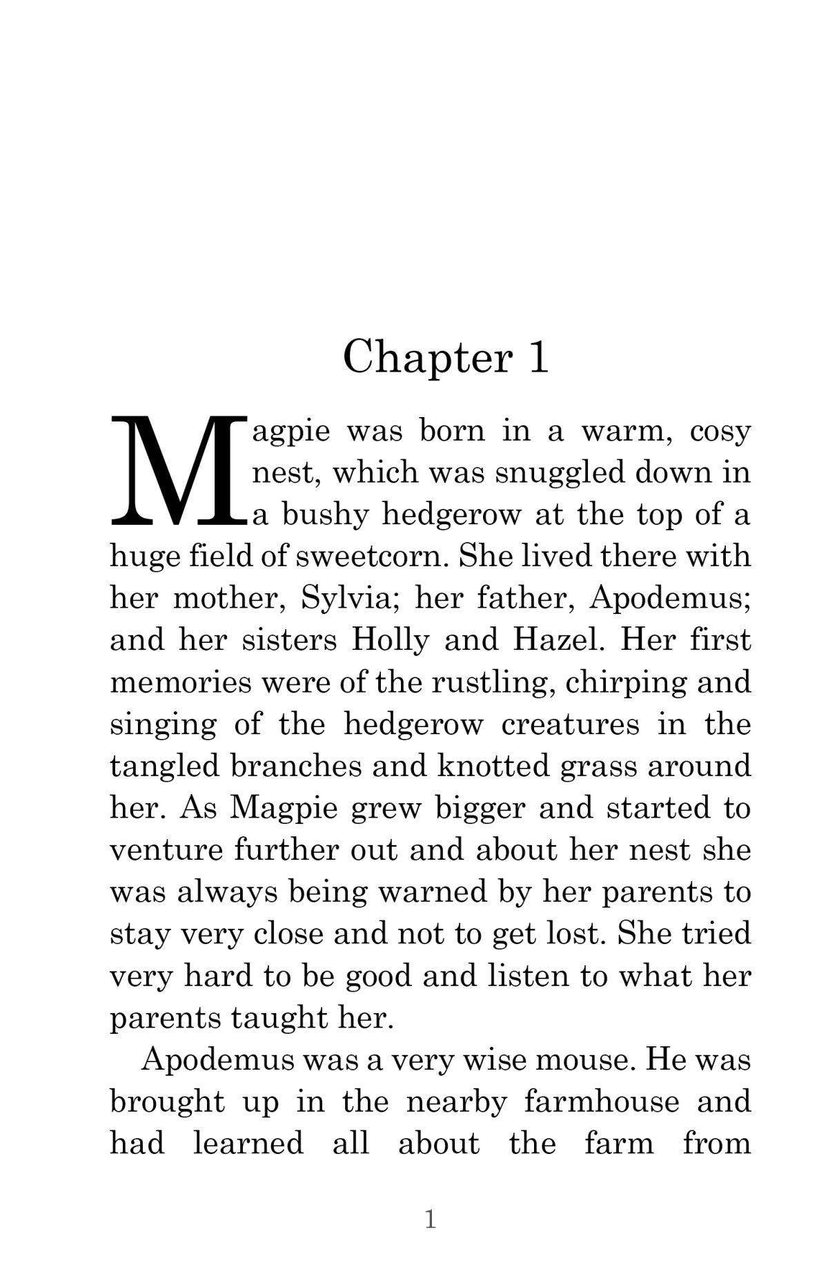 Magpie Mouse – Princess of Lost and Found – Blue Poppy Publishing ...