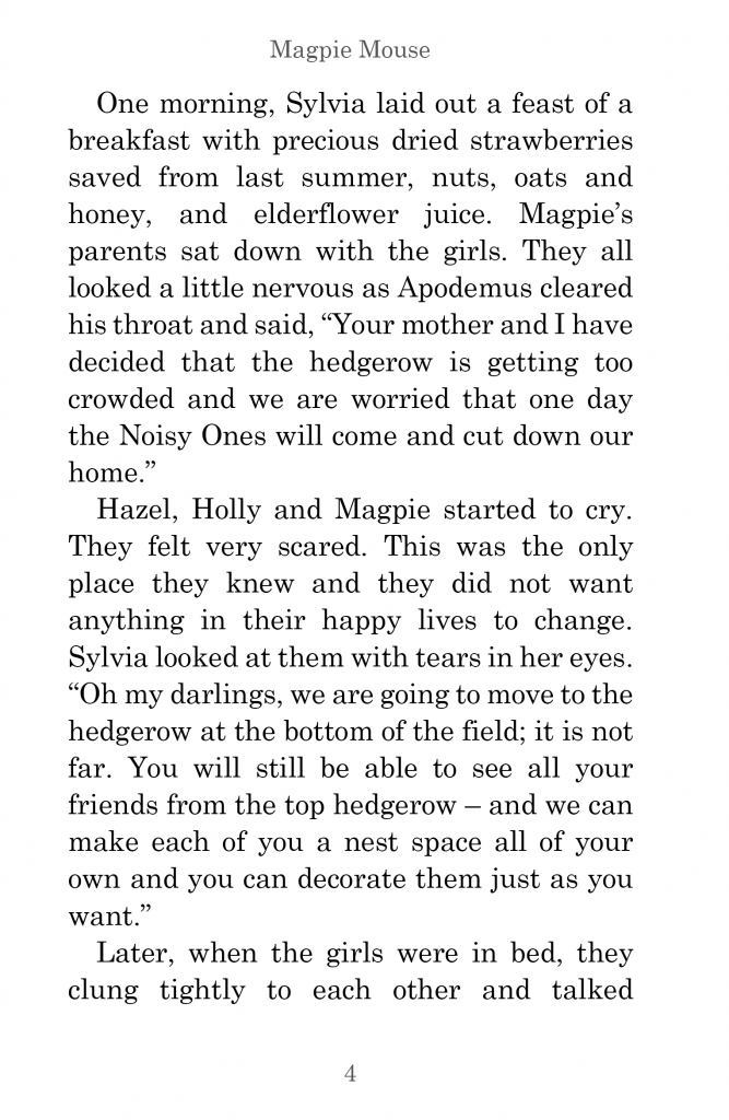 Magpie Mouse – Princess of Lost and Found – Blue Poppy Publishing ...