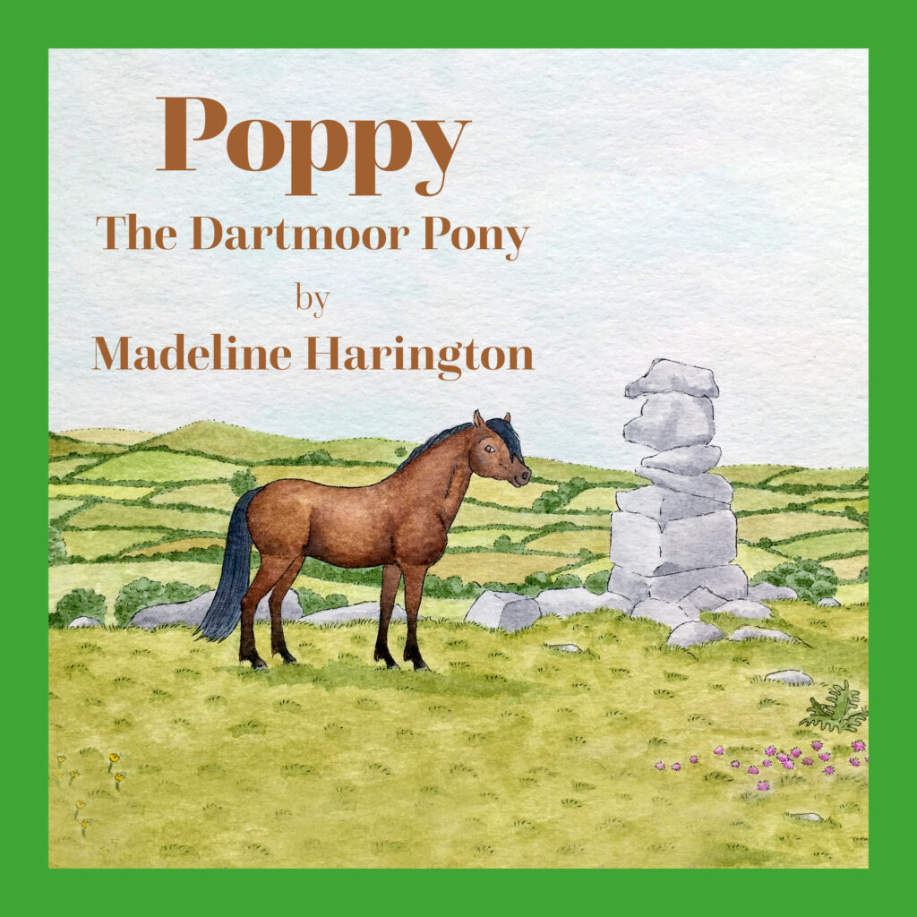 Poppy the Dartmoor Pony – by Madeline Harington – Blue Poppy Publishing ...