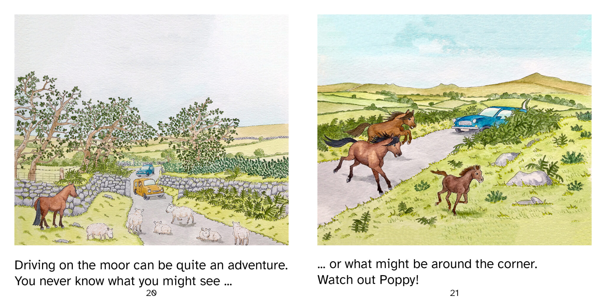 Poppy the Dartmoor Pony – by Madeline Harington – Blue Poppy Publishing ...