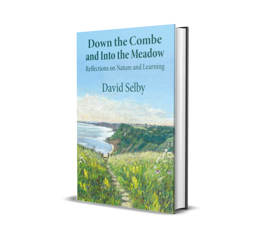 Down the Combe and Into the Meadow – Blue Poppy Publishing – book ...